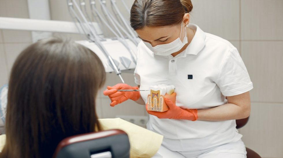 Mise en place de la Prophylaxie | Formations Efficience